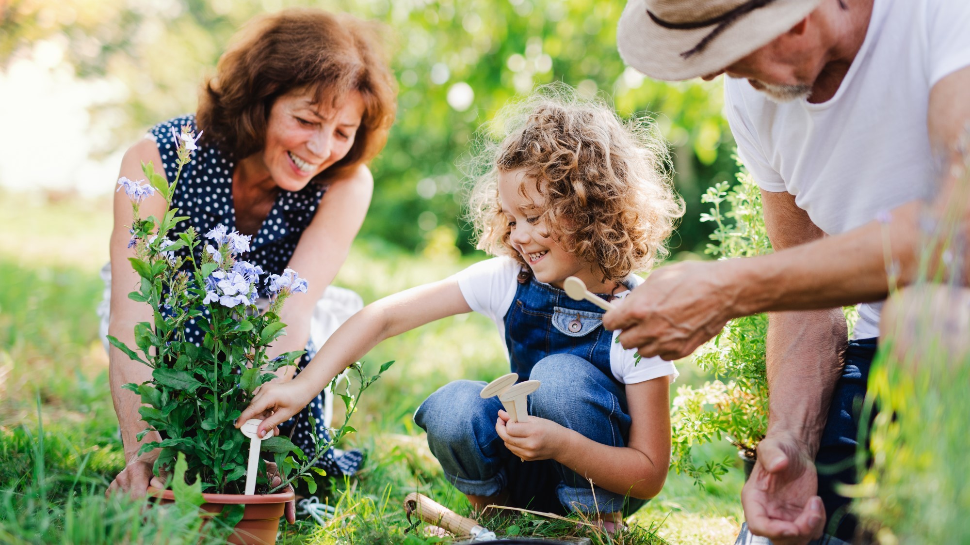 Elderly Parents Living Alone: 53 Warning Signs - Aging Outreach Services